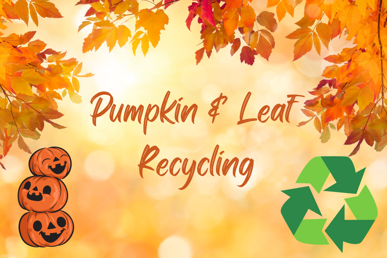 Repurpose Those Pumpkins and Leaves - North Metro Woman